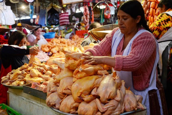 Mercados de Cochabamba restablecen venta de carne de pollo | Los Tiempos
