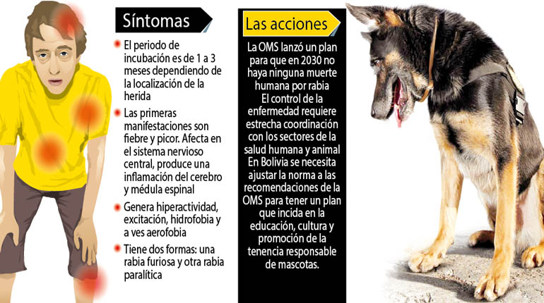 Hay 16 casos de rabia canina en Cochabamba | Los Tiempos
