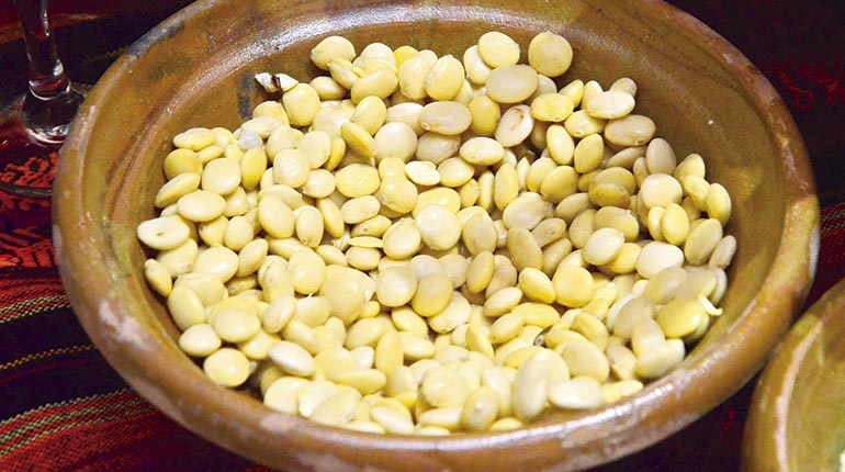 Tarwi infaltable en una dieta sana | Los Tiempos