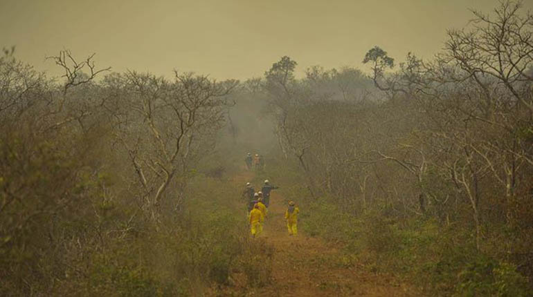 Cinco fallas del INRA precedieron la crisis ambiental en Chiquitanía ...
