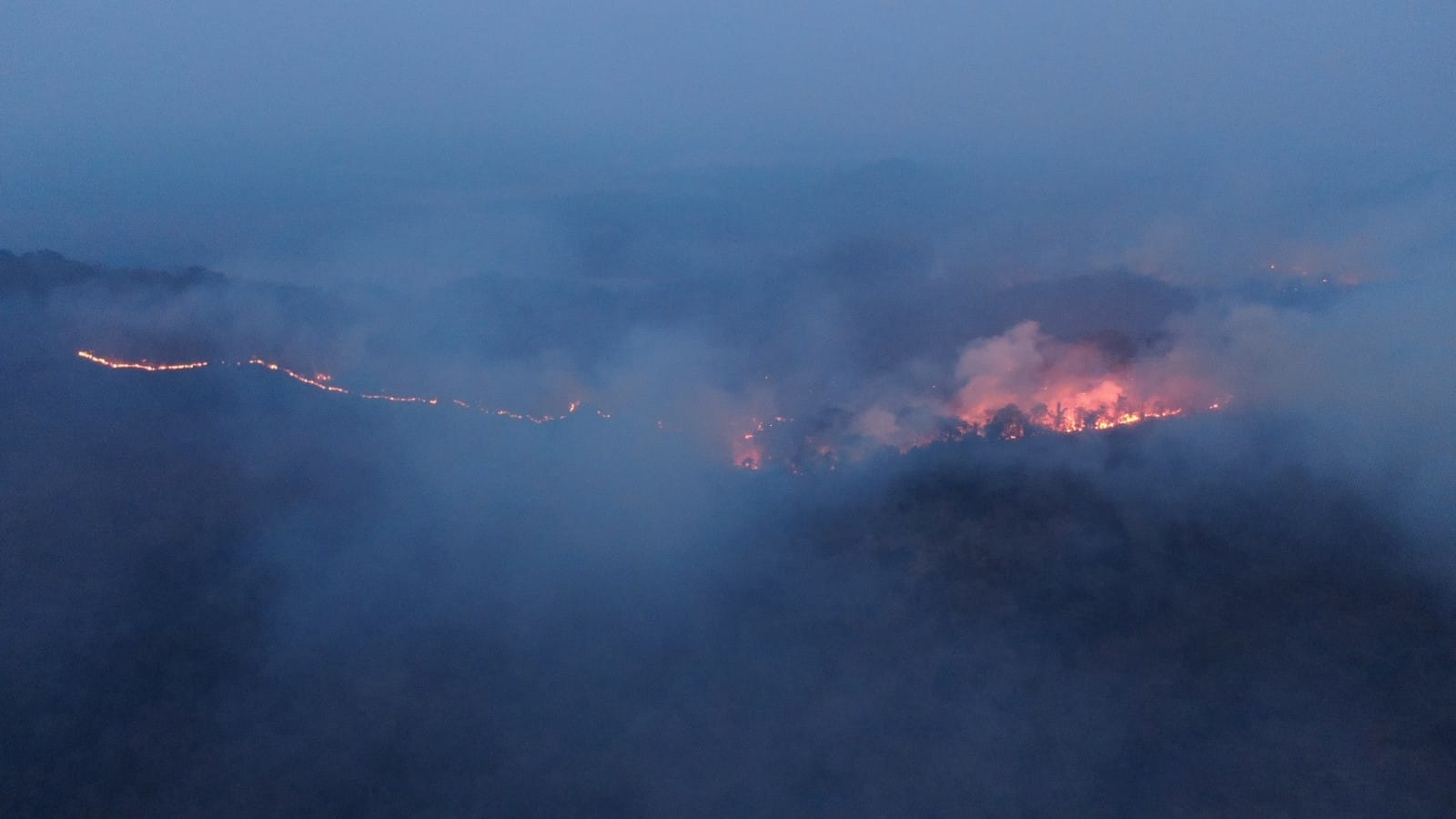 Santuario Ambue Ari pide ayuda ante amenaza por el incendio en Guarayos ...