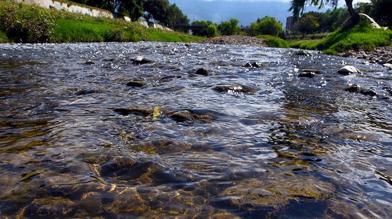El río Rocha sorprende con agua cristalina, pero aún no está limpio ...