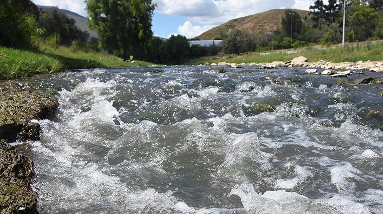 El río Rocha sorprende con agua cristalina, pero aún no está limpio ...