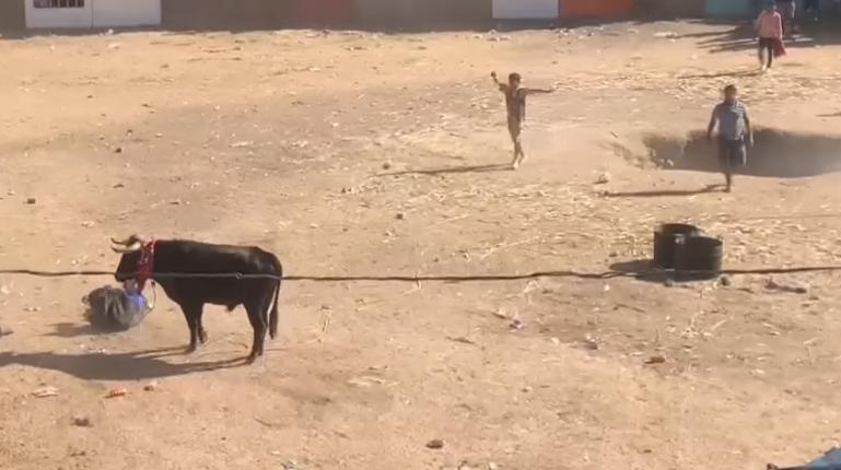Corrida de toros deja un muerto y más de 10 heridos en Yamparáez | Los ...