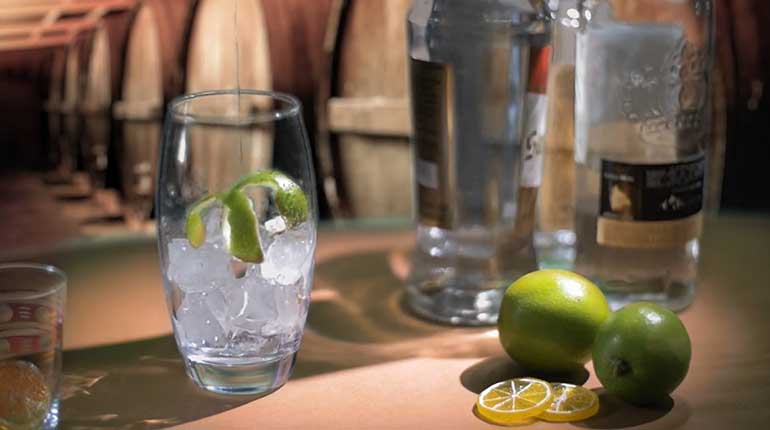 El singani boliviano se lanza a la conquista del mercado europeo, con ...