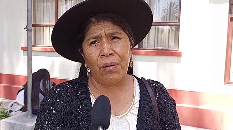 Diputada Lero dice que el gobierno miente con la Ley del oro | Los Tiempos