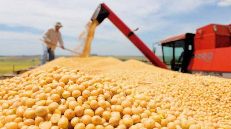 Santa Cruz produce el 76% del volumen total de alimentos en Bolivia ...