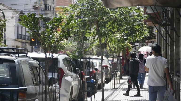 Por una Cochabamba “verde”, plantan un millón de árboles, mil en el ...