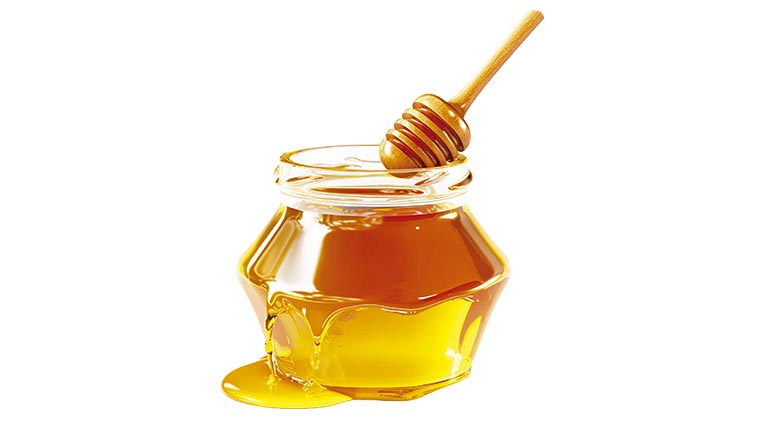 Propóleo: la “resina” de las abejas | Los Tiempos