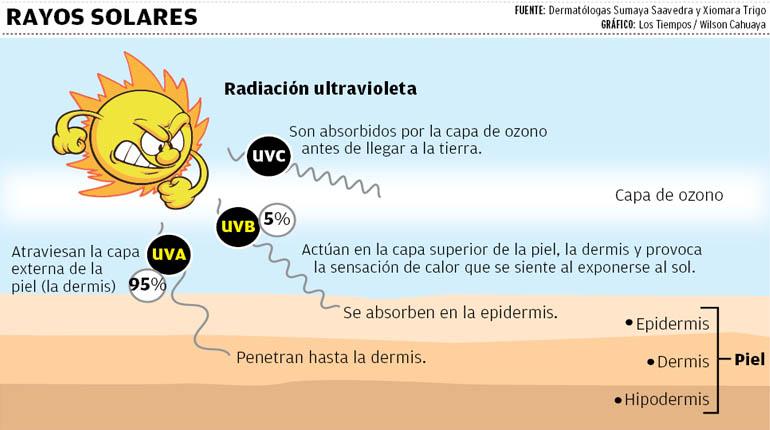 10 Datos Curiosos Sobre Los Rayos Que Tal Vez No Sabias Curious Kitty ... 10 Datos Curiosos Sobre Los Rayos Que Tal Vez No Sabias Curious Kitty ...